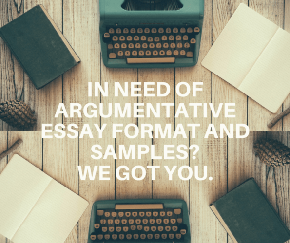 In Need of Argumentative Essay Format and Samples? We Got You ...